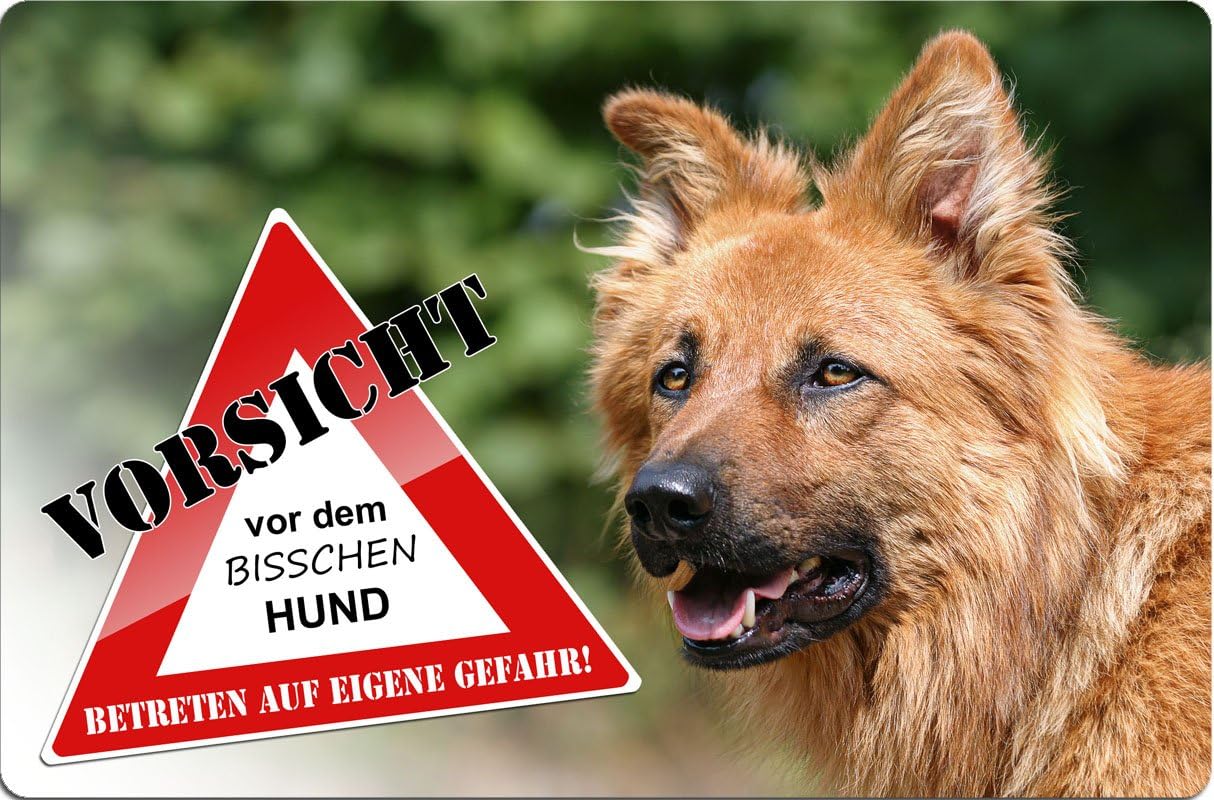 HARZER FUCHS - Metall WARNSCHILD Schild Hundeschild Sign - HZF 10 T3 ...