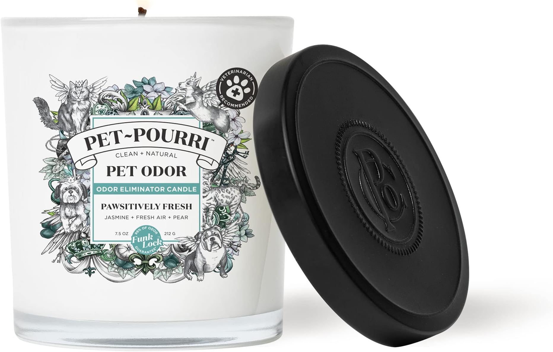 Amazon.com: Pet's Favorite - Tested & Proven - Odor Eliminating Candle ...