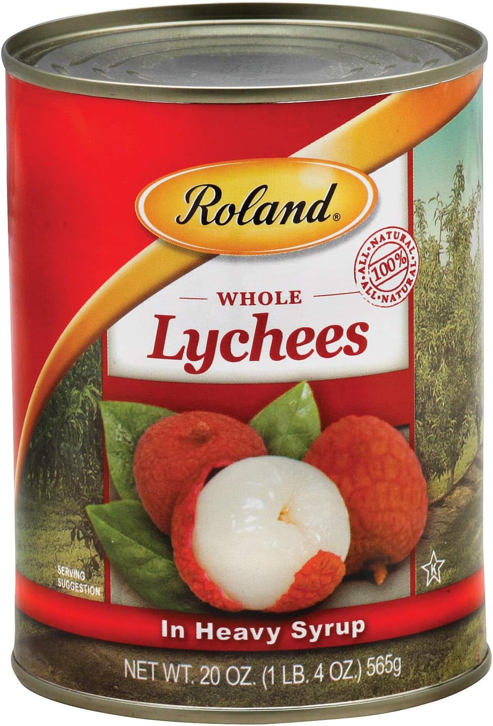 Amazon.com : Roland Lychees, Whole in Heavy Syrup, 20 Ounce (Pack of 24 ...