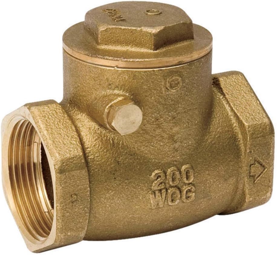 Amazon.com: 2" CHECK VALVE : Industrial & Scientific