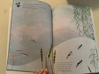 The Big Sticker Book of Bugs (The Big Book Series): Zommer, Yuval ...