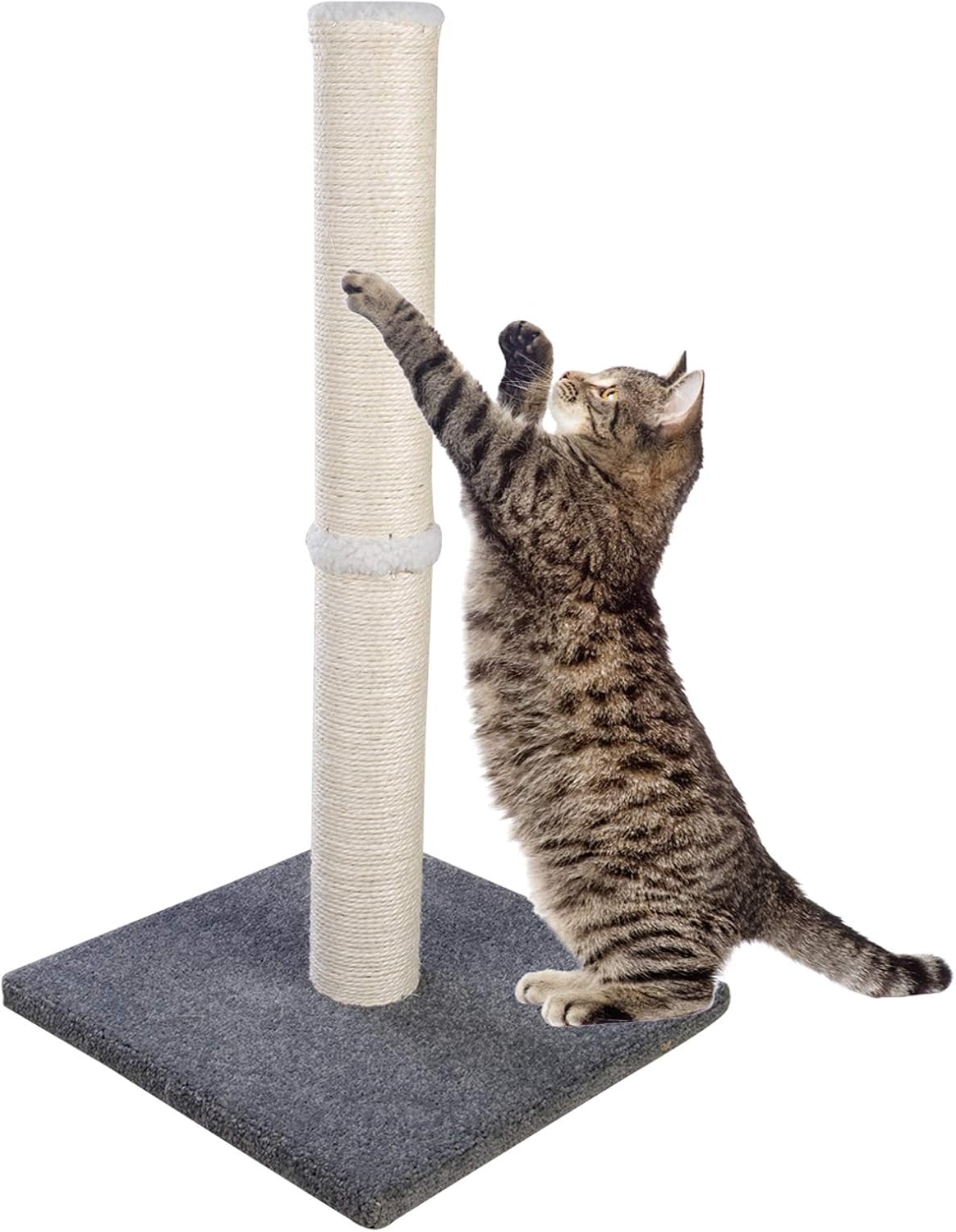 Amazon.com : Cat Scratching Post Carpet, Tall Big Sisal Rope Cat ...