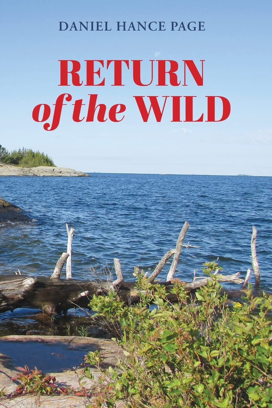 Return of the Wild: Page, Daniel Hance: 9781039138001: Amazon.com: Books