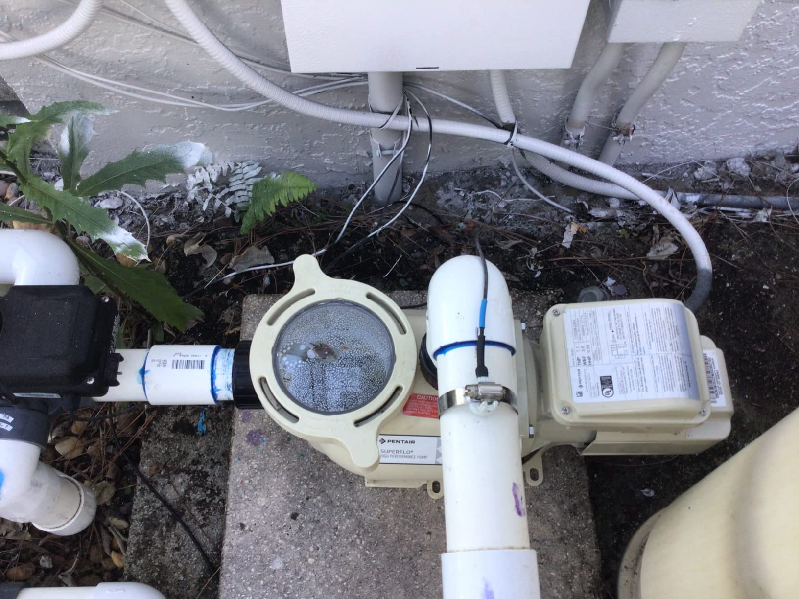 $24/mo - Finance Pentair 348190 SuperFlo High Performance Single Speed ...