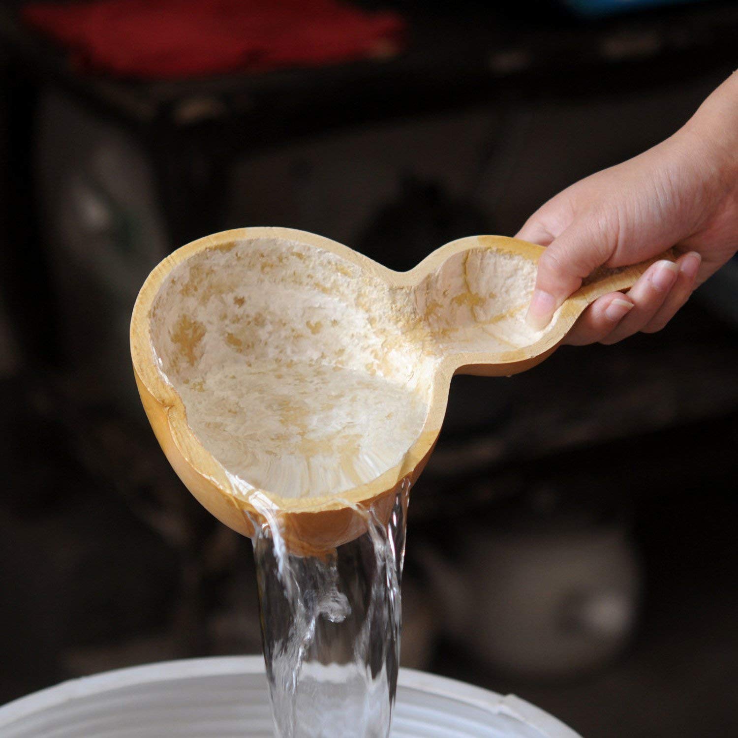 Amazon.com | Natural Dried Gourd Ladel Spoon Bowl Art Ornament Old ...