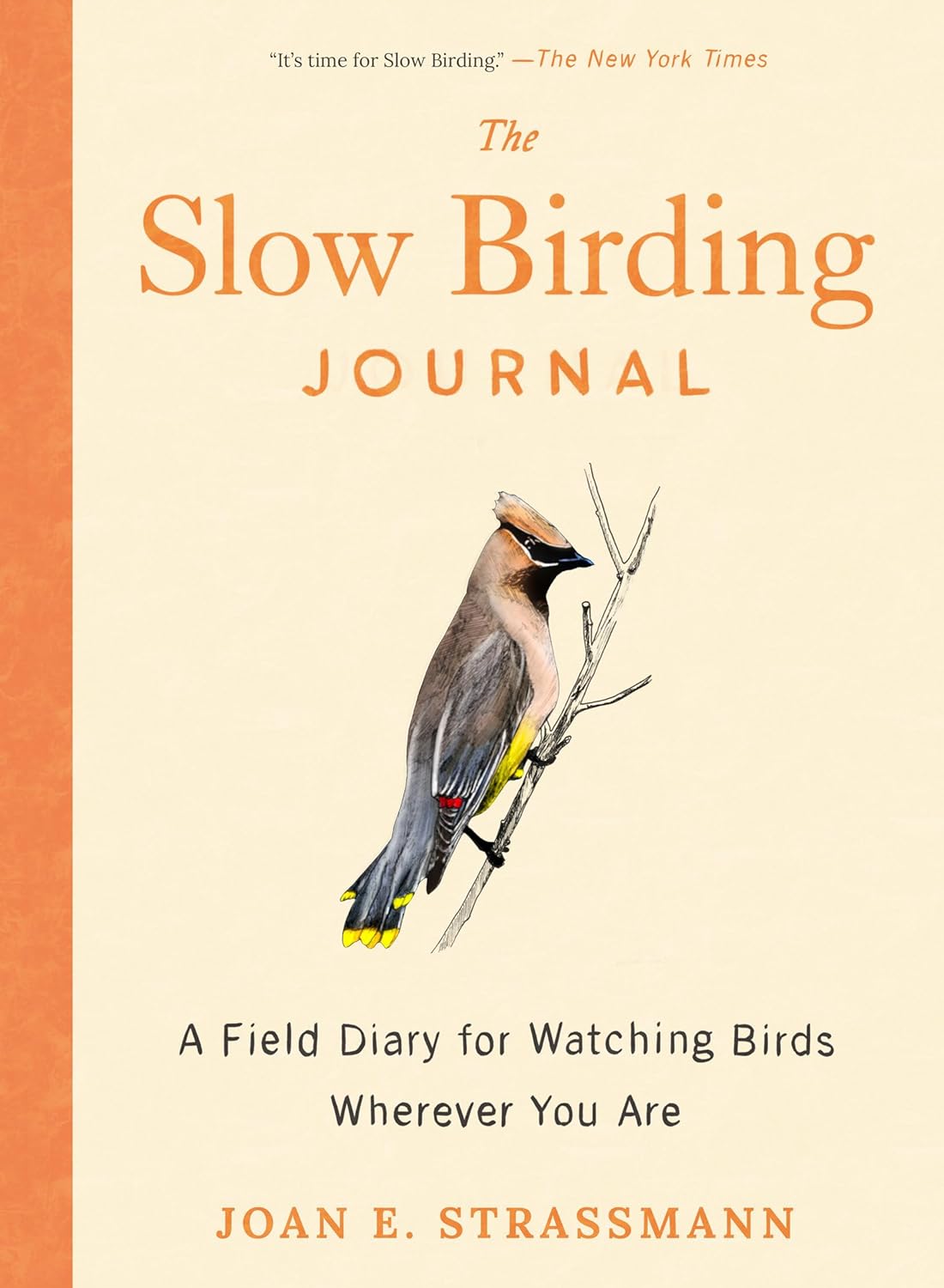 Amazon.com: The Slow Birding Journal: A Field Diary for Watching Birds ...