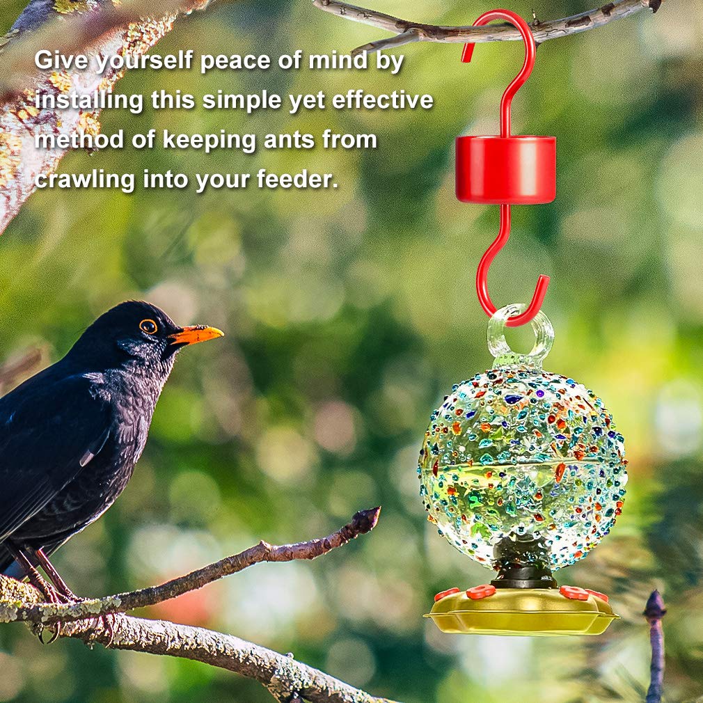 Snapklik.com : Ants Moat For Hummingbird Feeder And Oriole Feeder, 4 ...