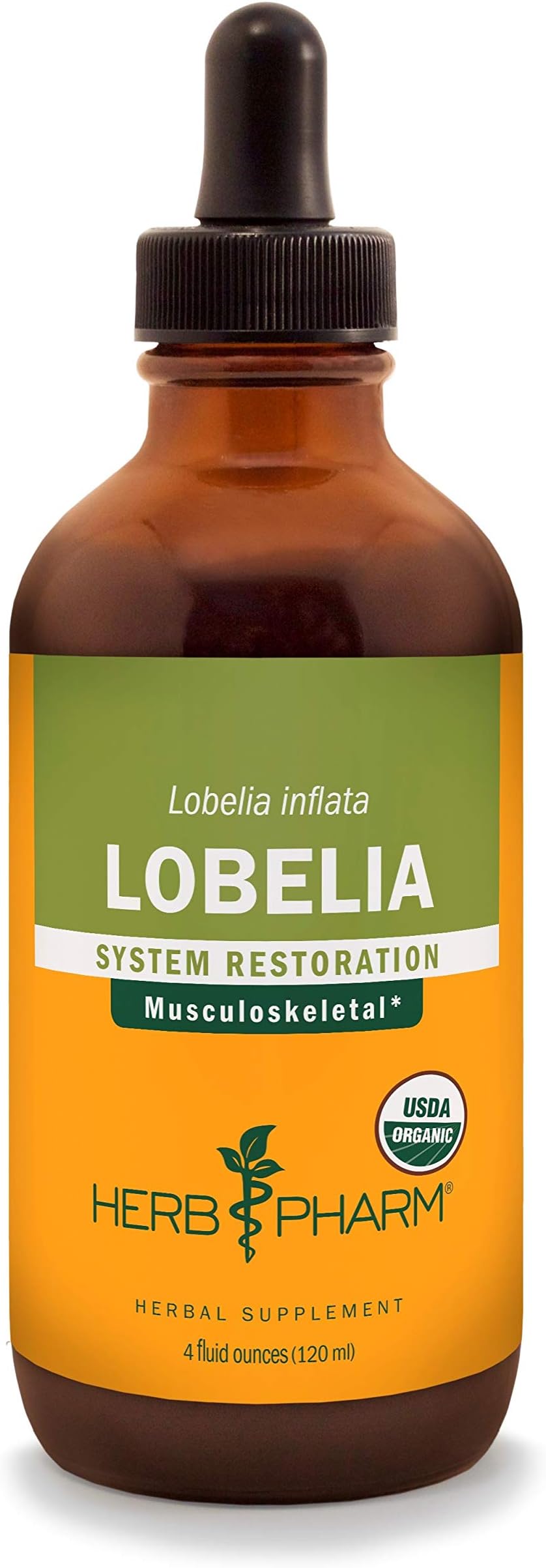 Amazon.com: FLORIDA HERBS Lobelia Tincture, Organic Lobelia Extract ...