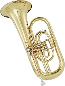 Amazon.com: TSTS Euphonium Instrument Gold Marching Instrument 3 ...