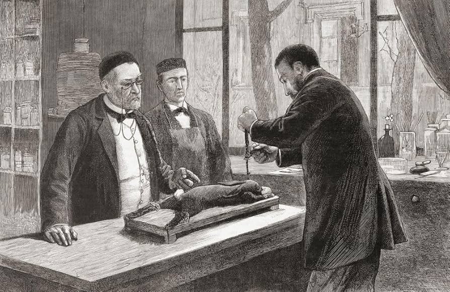 Pasteurization Louis Pasteur