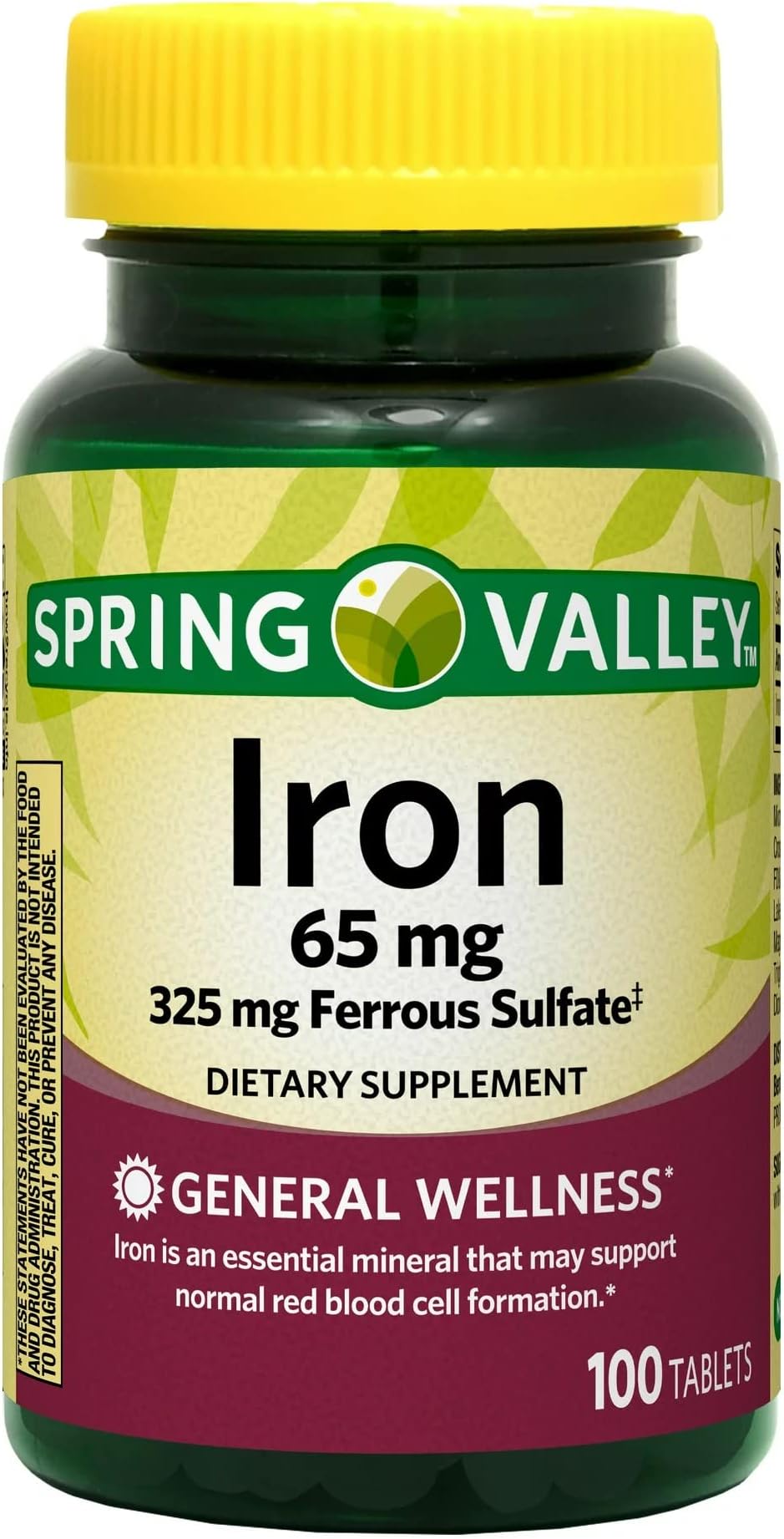 Amazon.com: Spring Valley Iron 65 mg 325 mg Ferrous Sulfate 100 Tablets ...