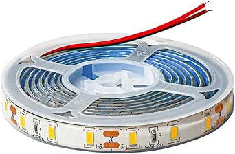 Amazon.com: 12V Warm White Led Strip Light 6.56Ft Dimmable Light Strip ...
