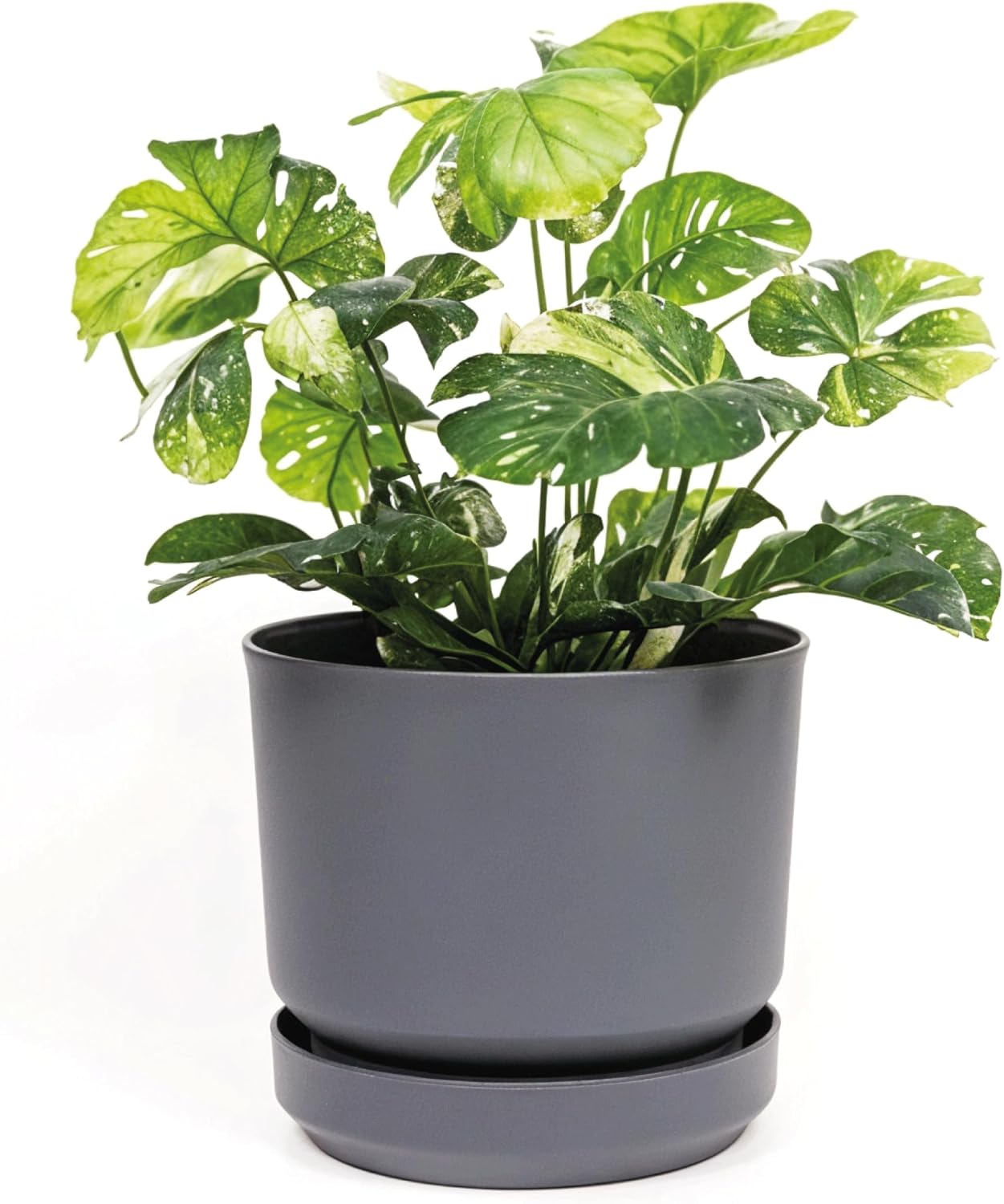 Amazon.com : Elly Décor 8 inch Plastic Cylinder Planter Pot with Self ...