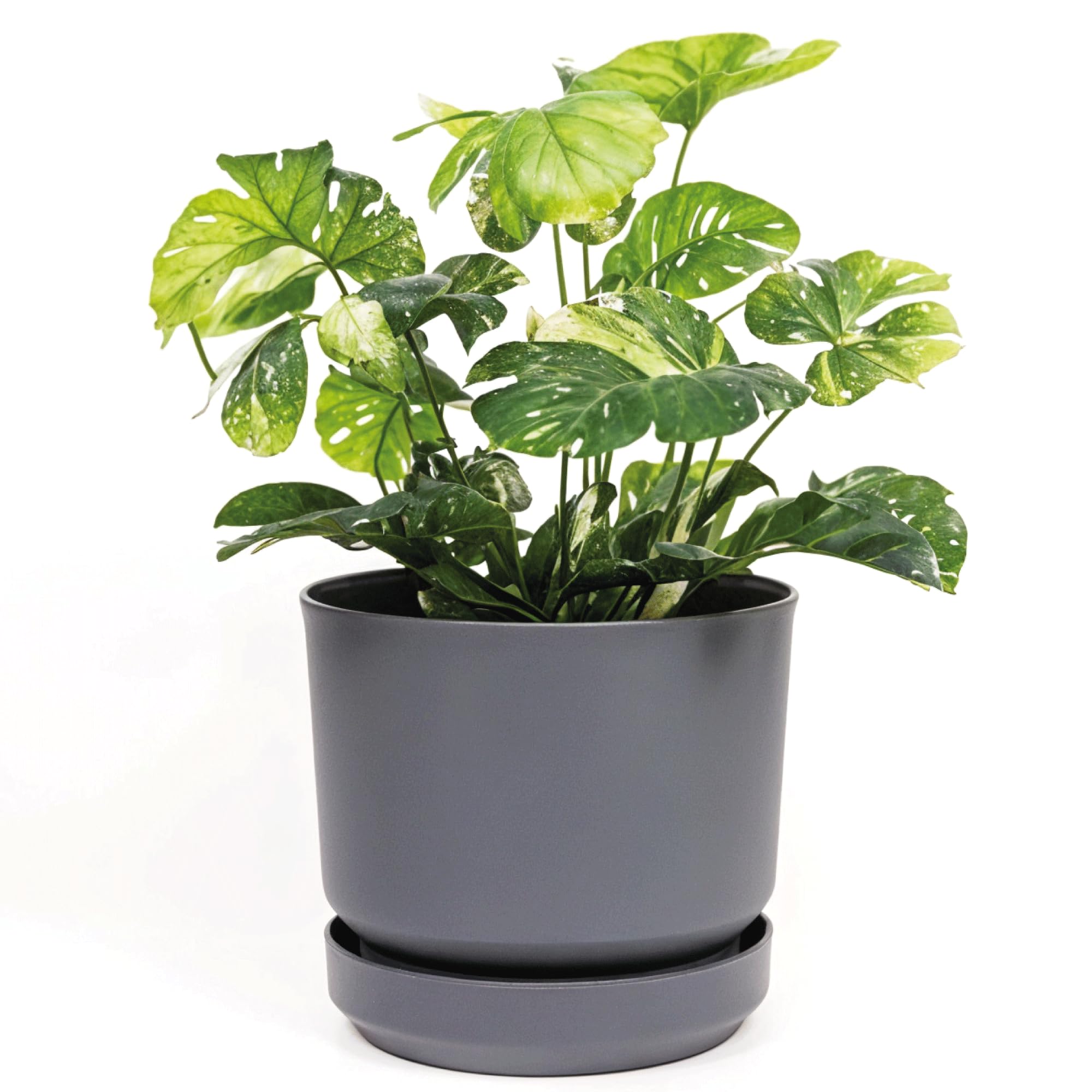 Amazon.com : Elly Décor 8 inch Plastic Cylinder Planter Pot with Self ...