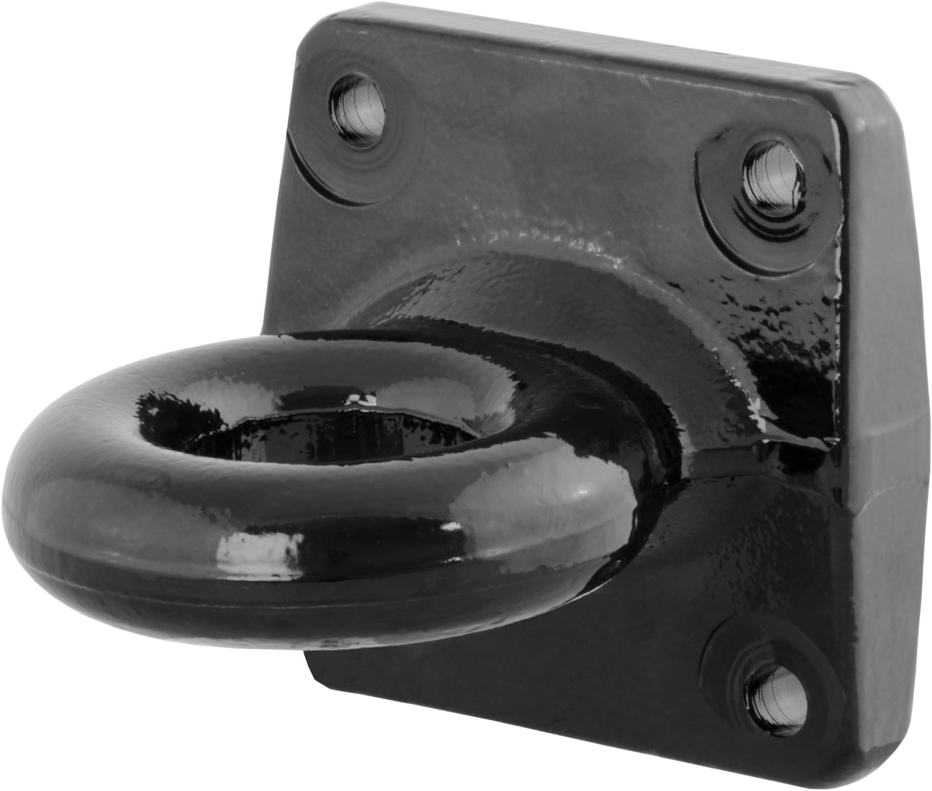 Amazon.com: 48600 Raw Steel Pintle Hitch Lunette Ring 3-Inch ID, 12,000 ...