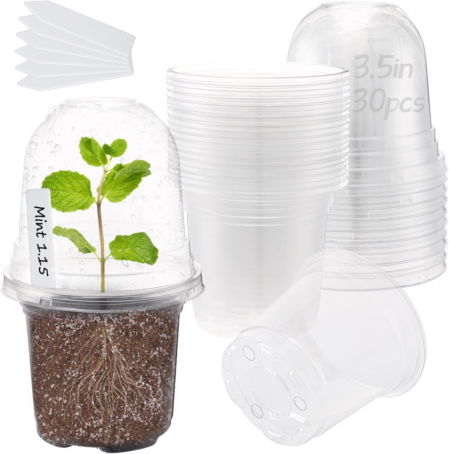 Amazon.com : Biggun 3.5in Clear Nursery Pots with Humidity Domes- 30 ...