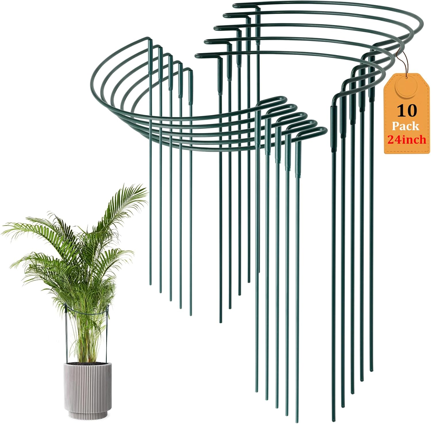 Amazon.com : 10 Pack Supports Stakes Metal 10" Wide x 24" High Peony ...
