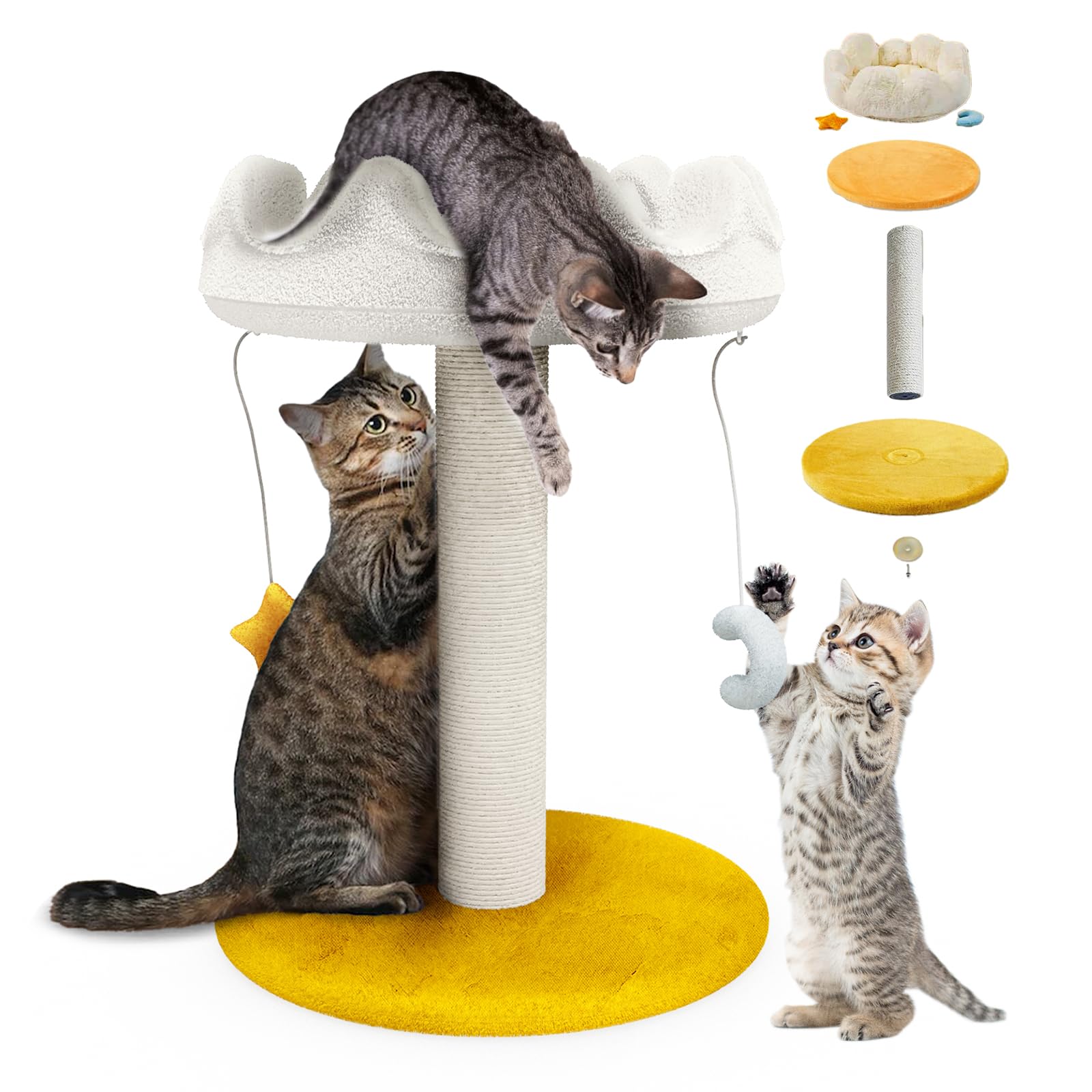 PERCEA Cat Condo Scratcher & Tower for Indoor Cats, Small to Medium ...