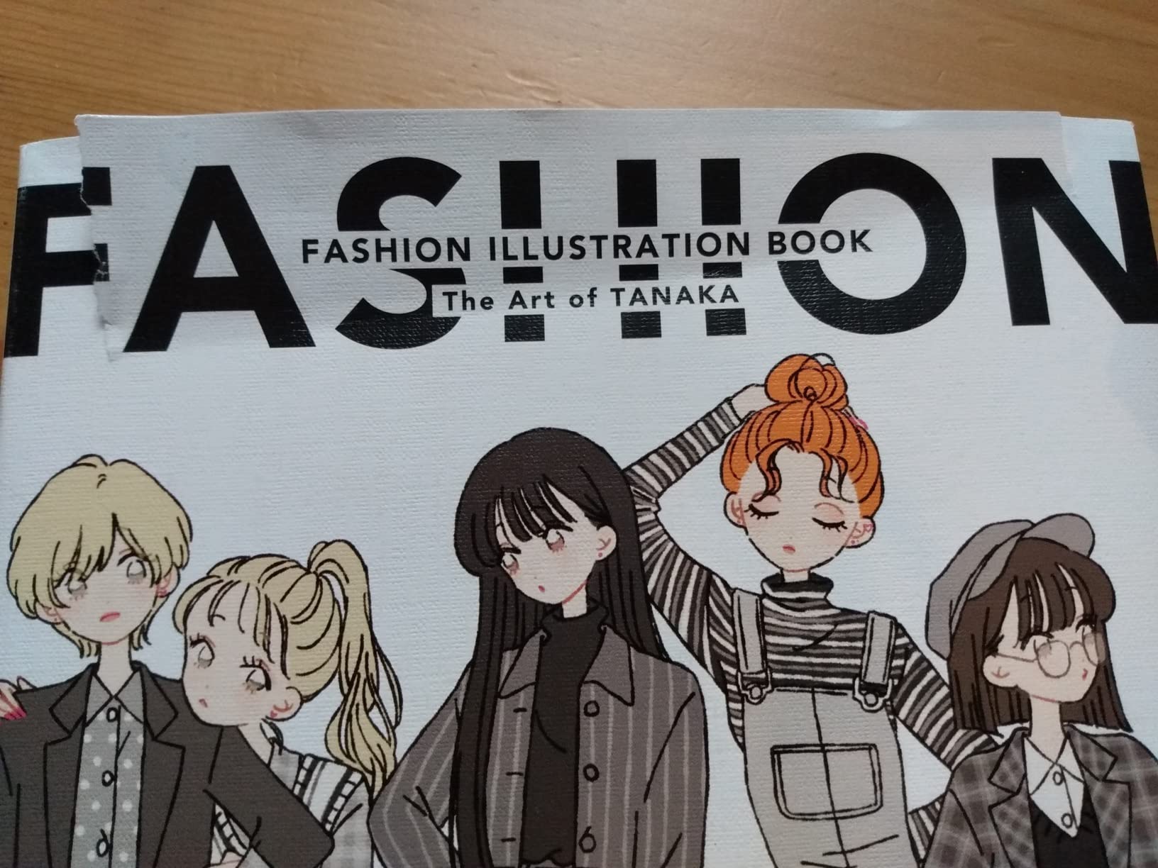 Fashion Illustration Book: The Art of Tanaka (Fashion Illustrations ...