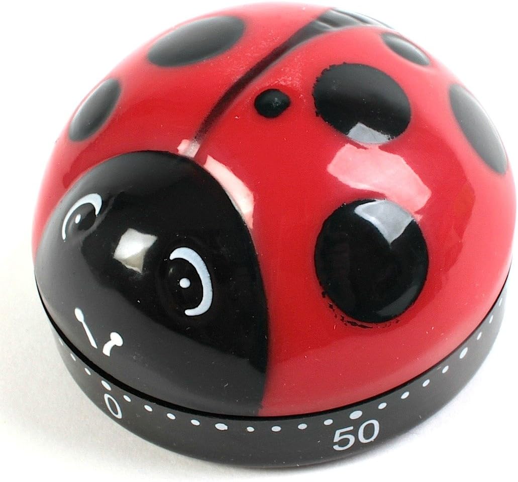 Amazon.com: Kikkerland Ladybug Kitchen Timer : Home & Kitchen