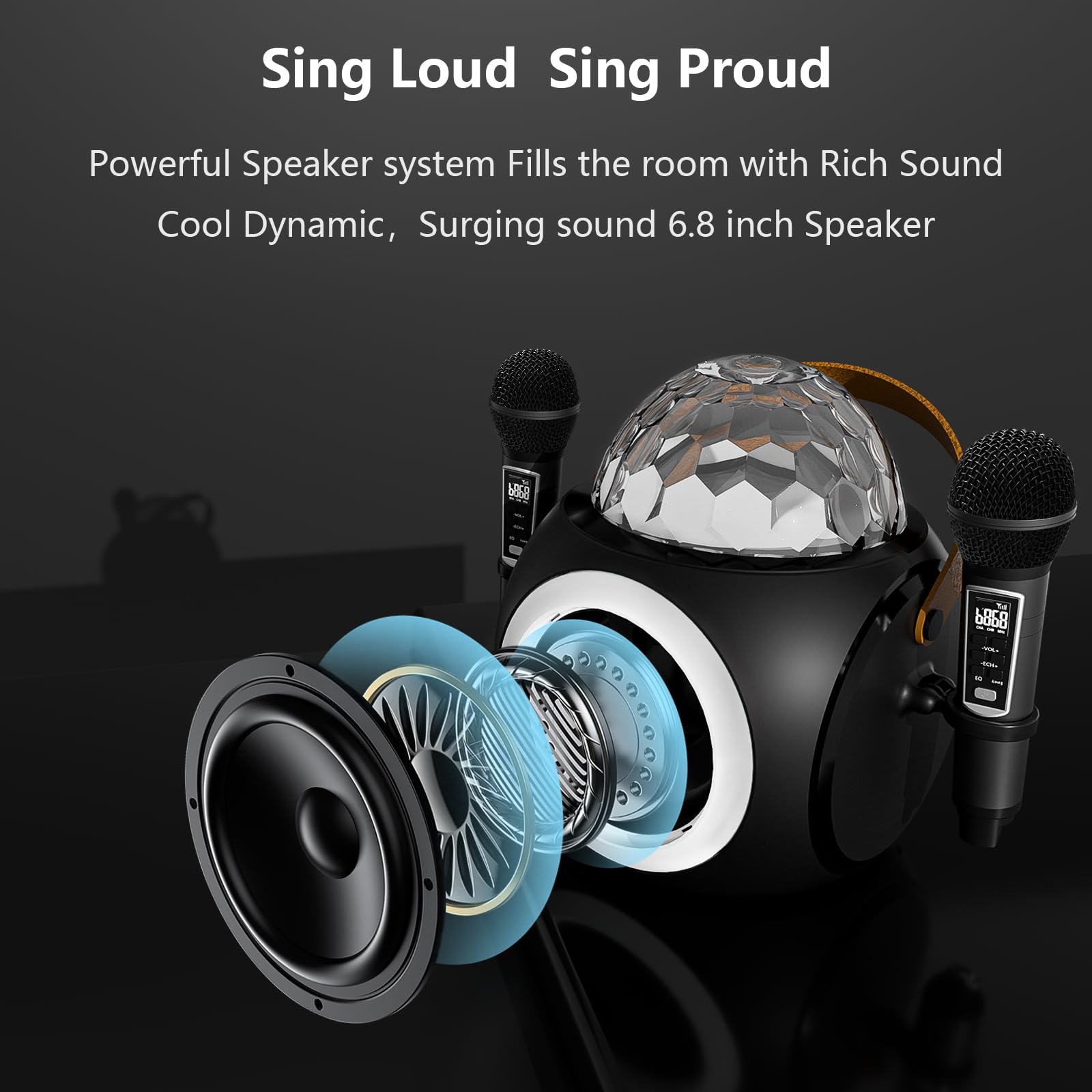 Snapklik.com : SINWE Karaoke Machine For Adults Kids