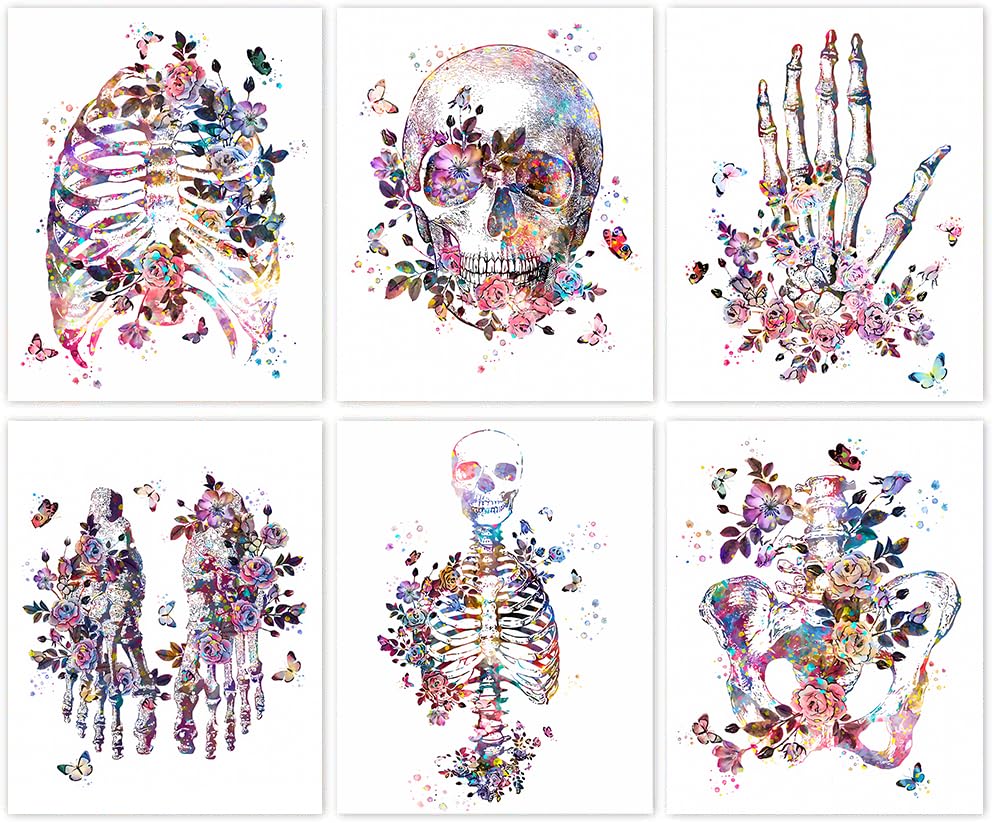 Amazon.com: Human Organs Art Printing,Science Posters for Classroom ...