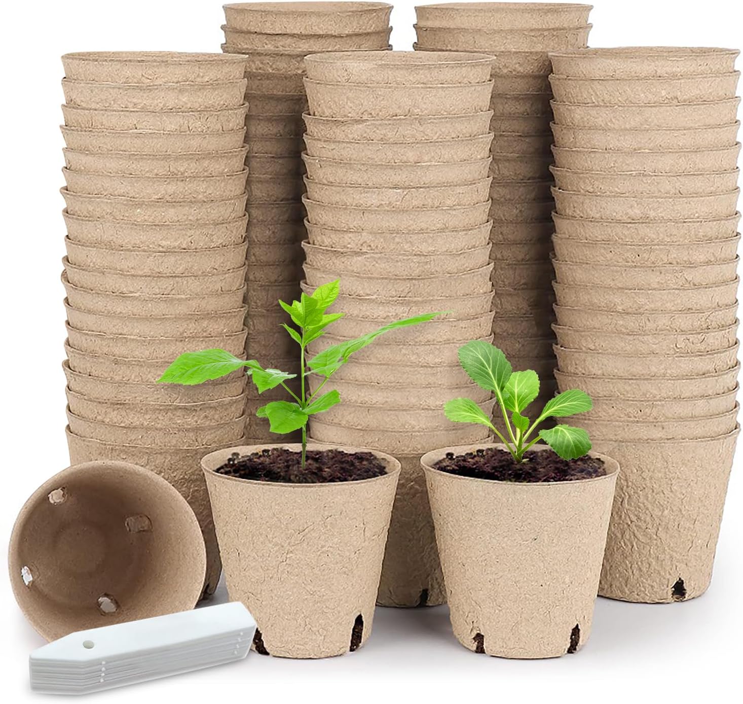 Amazon.com: 50Pcs 3.15 Inch Peat Pots,Germination Nursery Pots ...