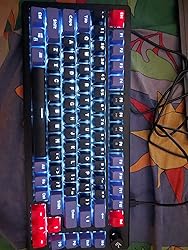 Amazon.in: Buy Kreo Hive Anti-ghosting Gaming Keyboard | 75% Tenkeyless ...