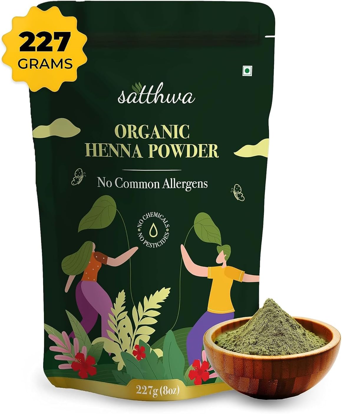 Amazon.com : Clean Botanics Organic Rajasthani Henna Powder - 200g ...