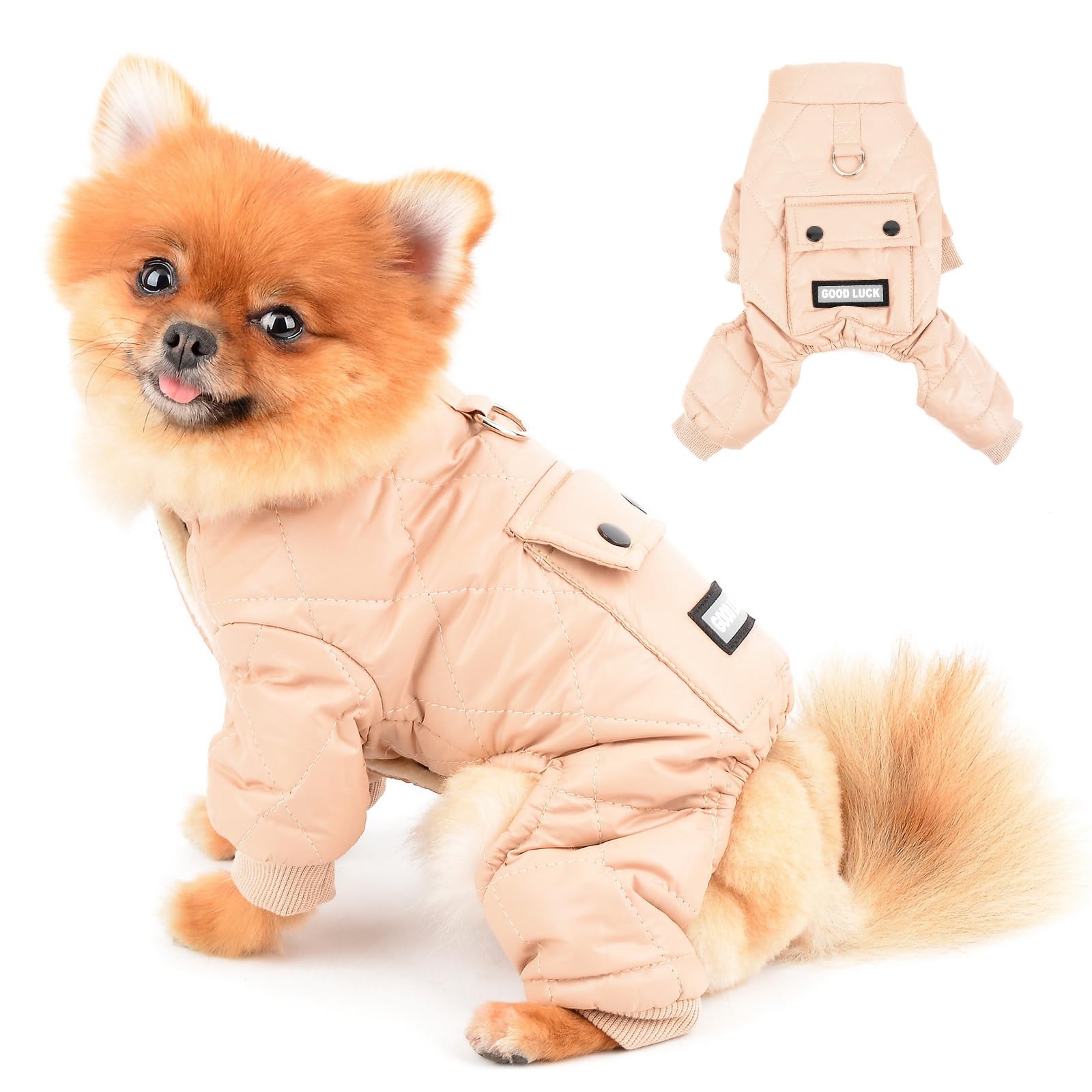 Good Luck Puppy