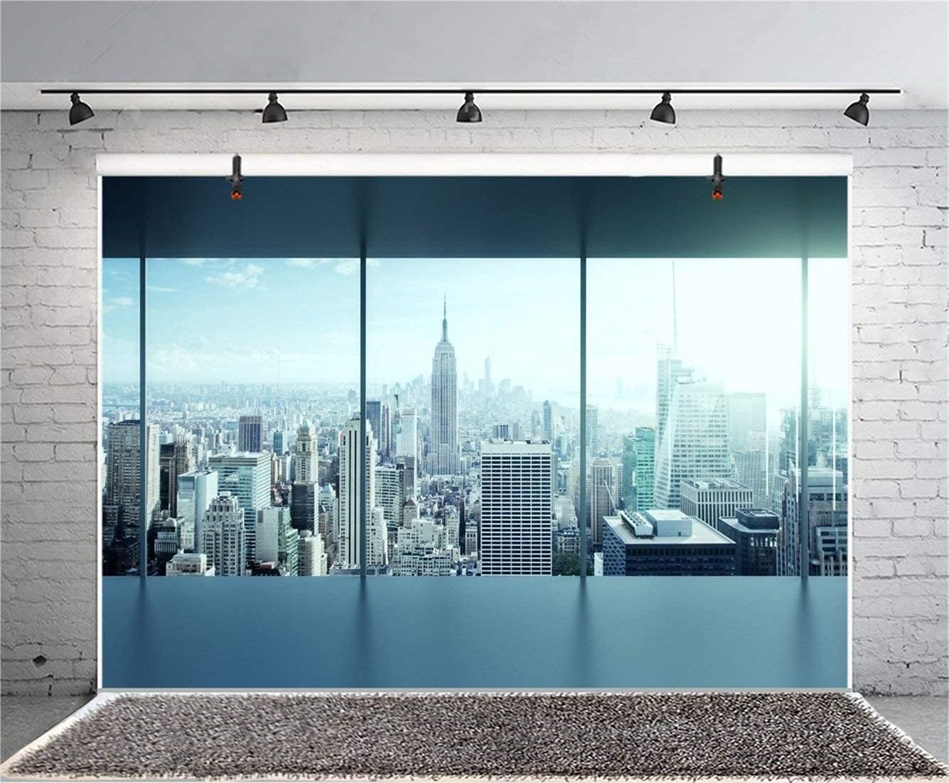 Amazon.com : AOFOTO 8x6ft Business Office Sash Window Backdrop French ...