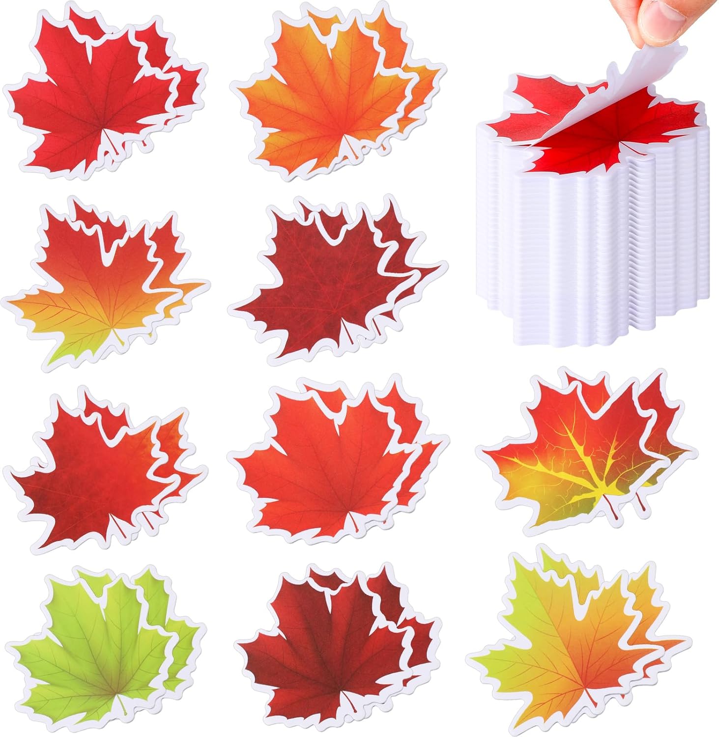 Amazon.com : Honoson 4000 Sheets Thanksgiving Sticky Notes Maple Leaf ...