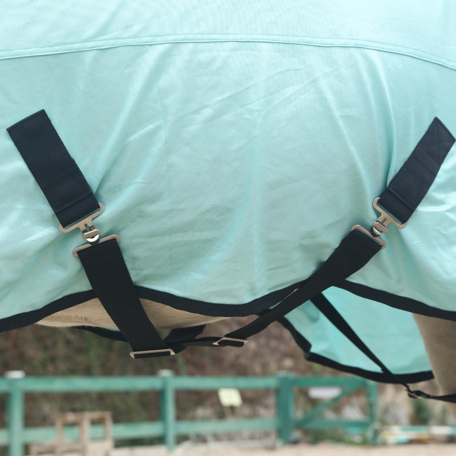 Snapklik.com : Horse Fly Sheet, Standard Neck Comfy Mesh Fly Sheet For ...