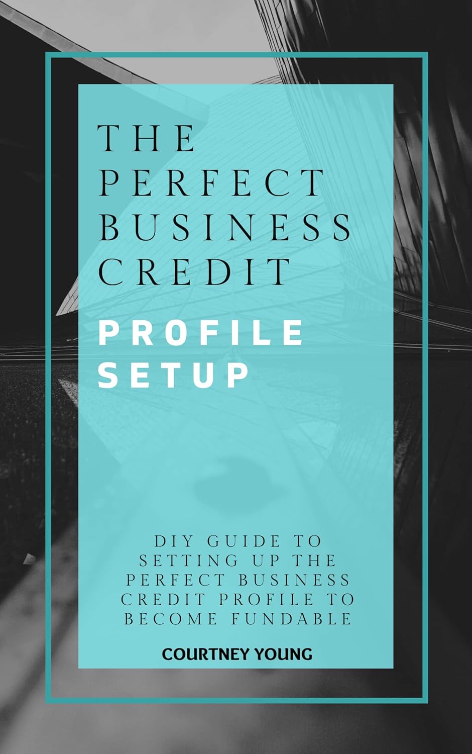 Amazon.com: The Perfect Business Credit Profile: Building Business ...