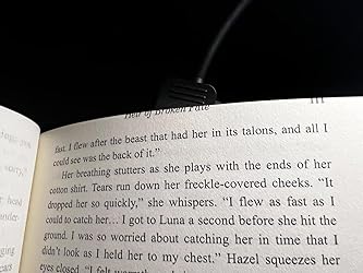 Heir of Broken Fate (HOBF): Rafferty, Mads: 9780645803716: Amazon.com: Books