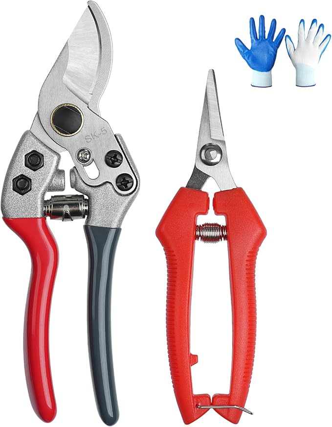 Garden Secateurs Pruning Shears Set 2 Pack Stainless Steel with Garden ...