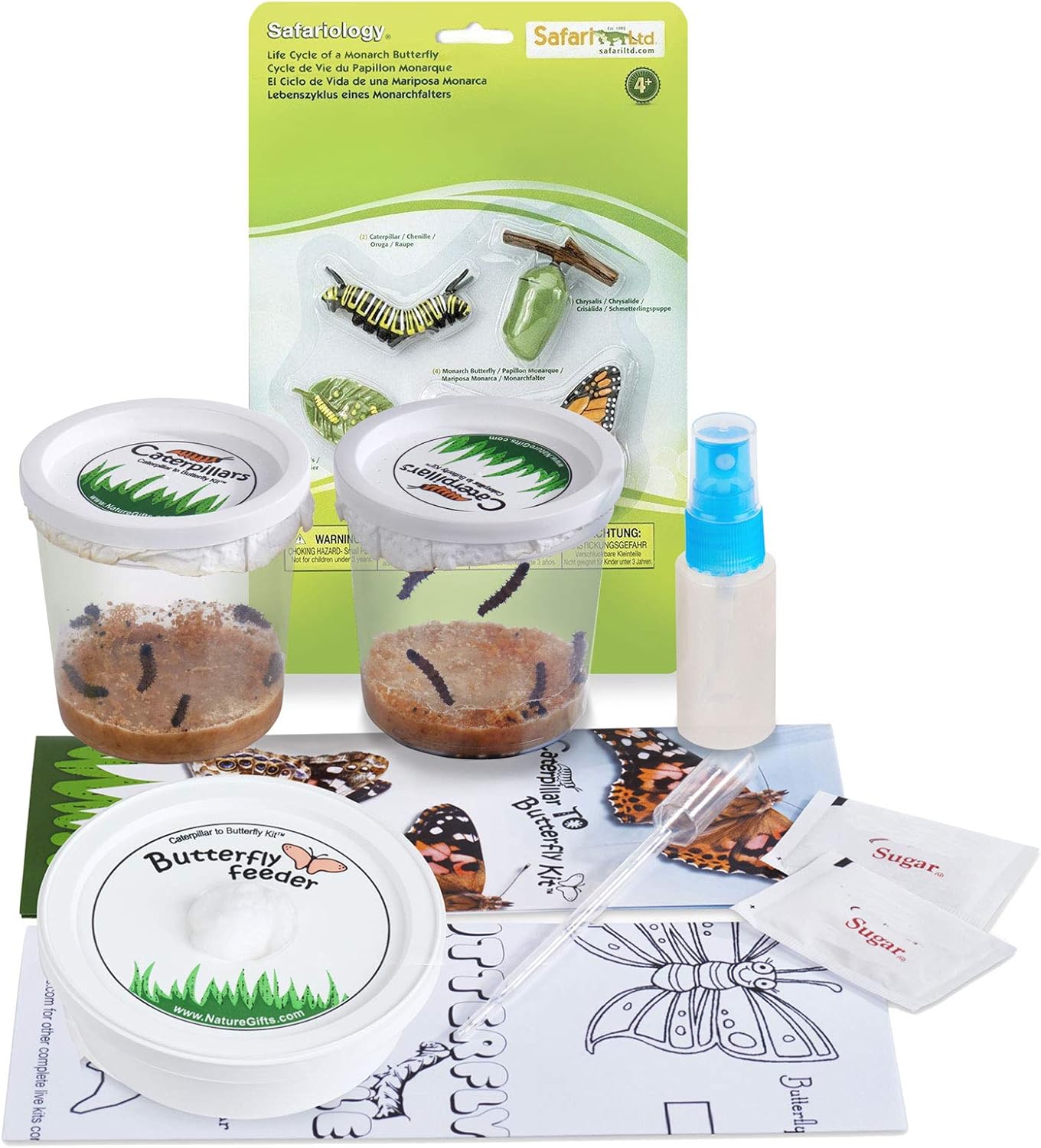 Amazon.com: Nature Gift Store 10 Live Caterpillars Shipped Now ...