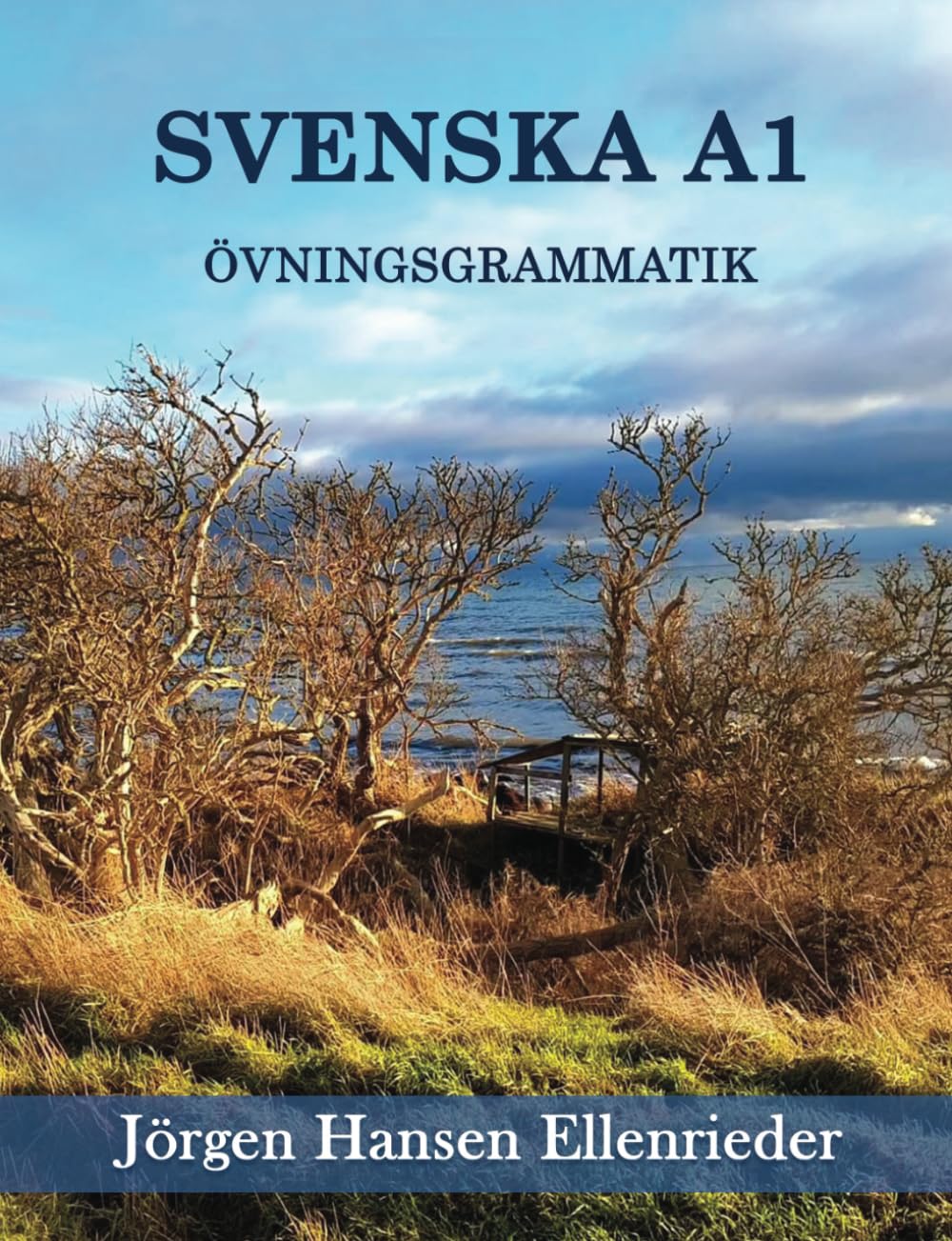 SVENSKA A1: ÖVNINGSGRAMMATIK (Svenska för invandrare) : ELLENRIEDER ...