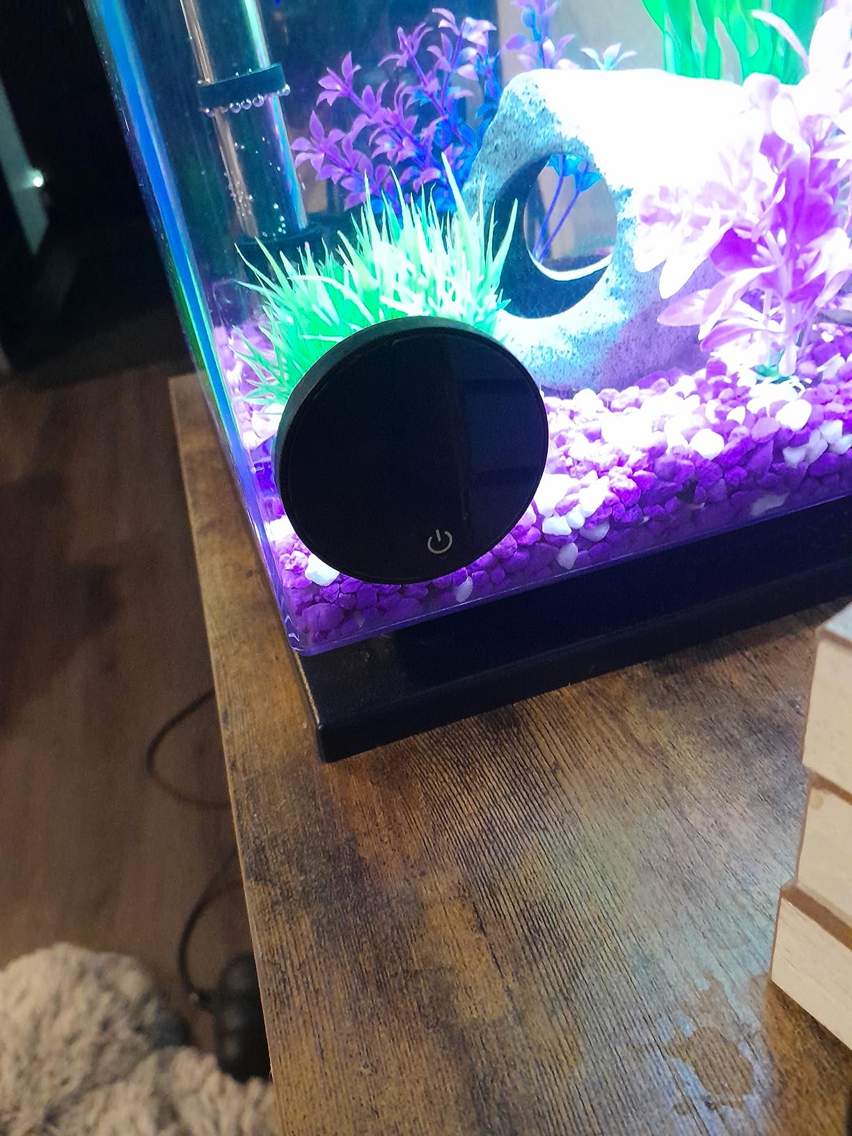 $2/mo - Finance DaToo Aquarium Thermometer Rechargeable Digital LED ...