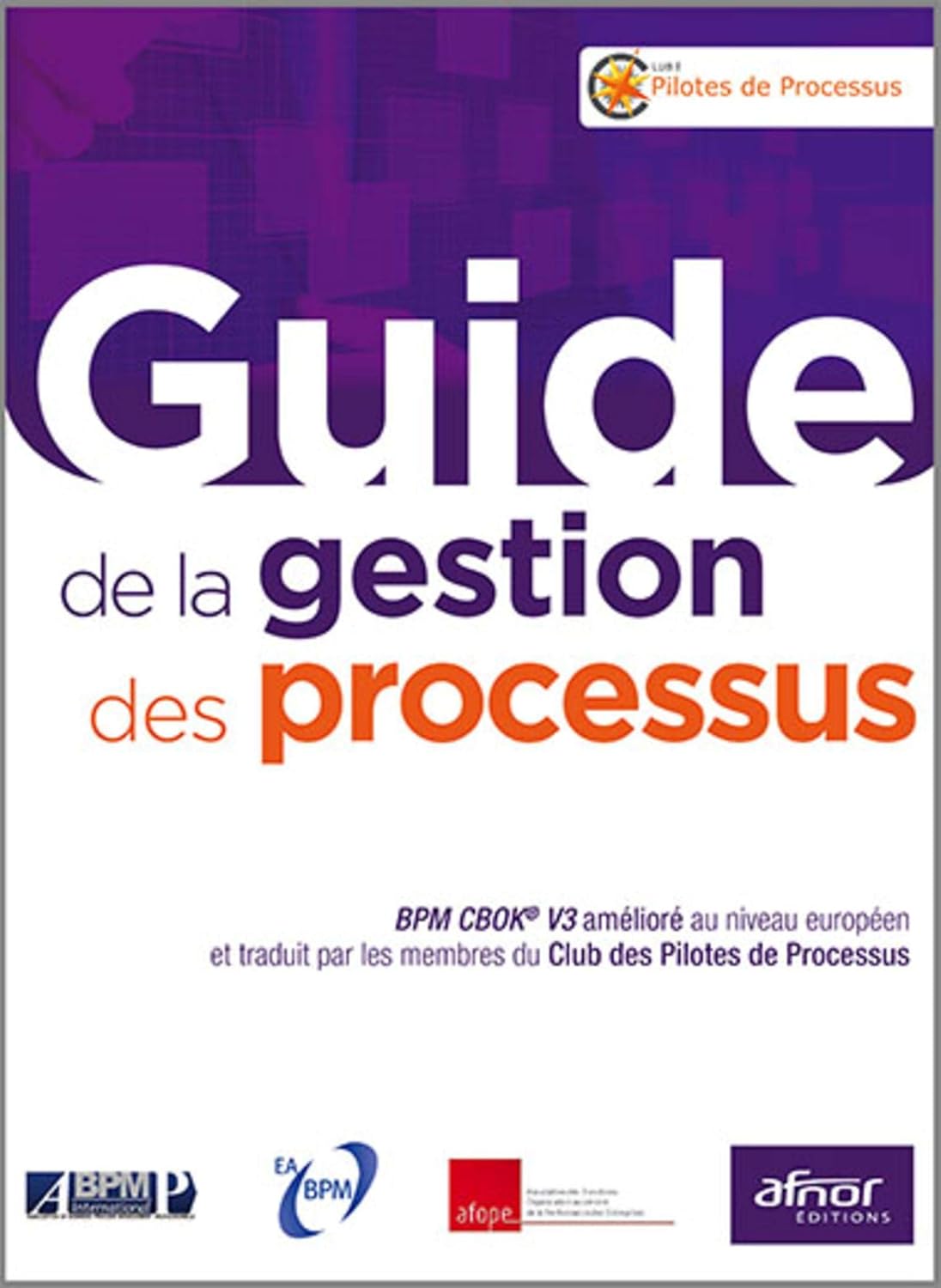 Amazon.com: GUIDE DE LA GESTION DES PROCESSUS: BPM CBOKR V3 AMELIORE AU ...