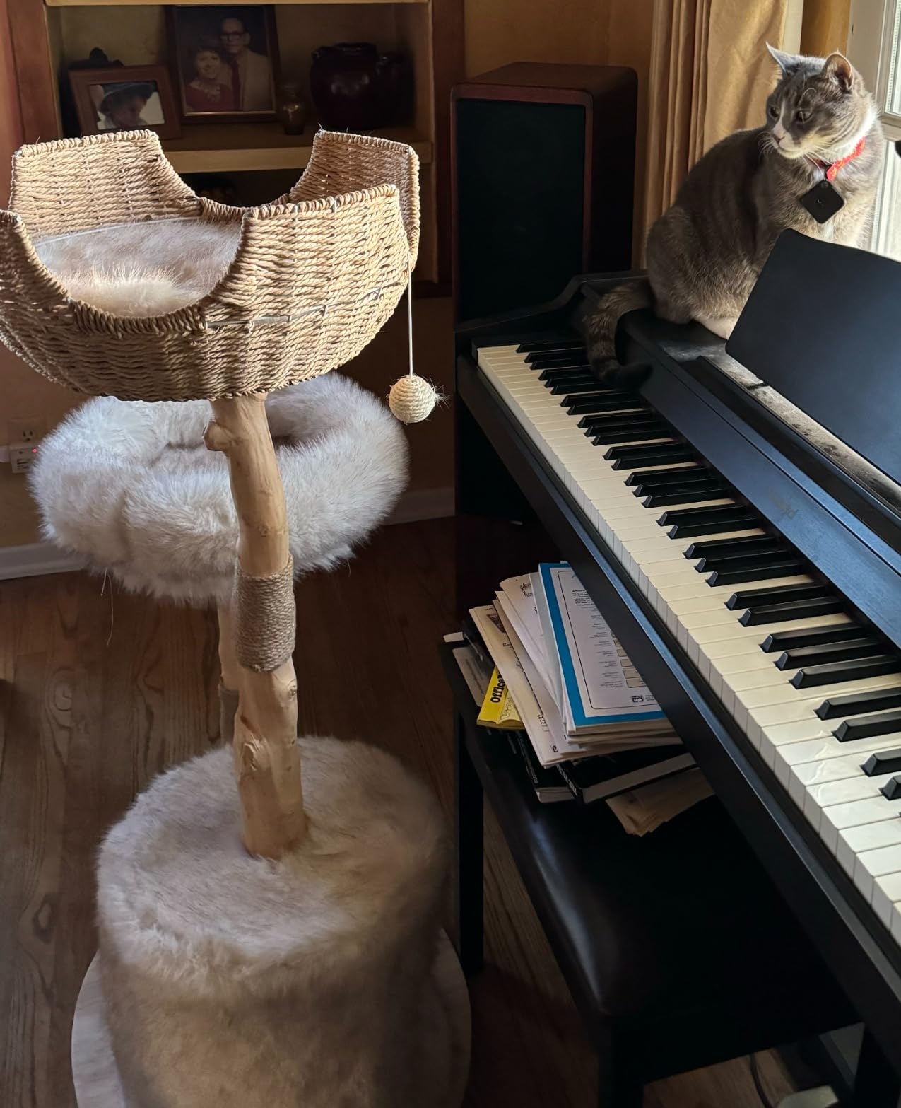 AN EXCELLENT ADDITION TO ANY CAT HOUSE