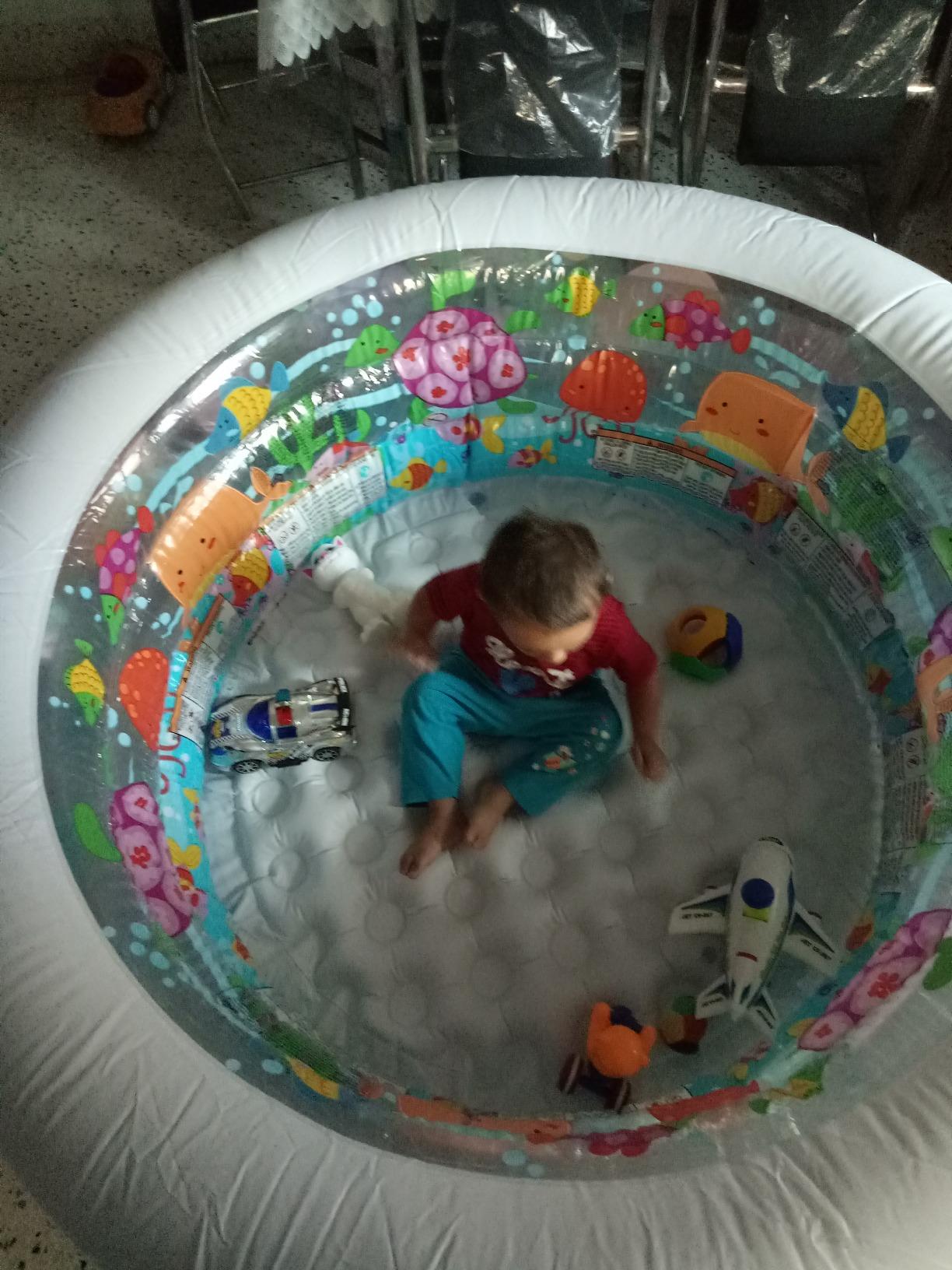 Buy Intex Aquarium Pool, Multi Color Online at Low Prices in India ...