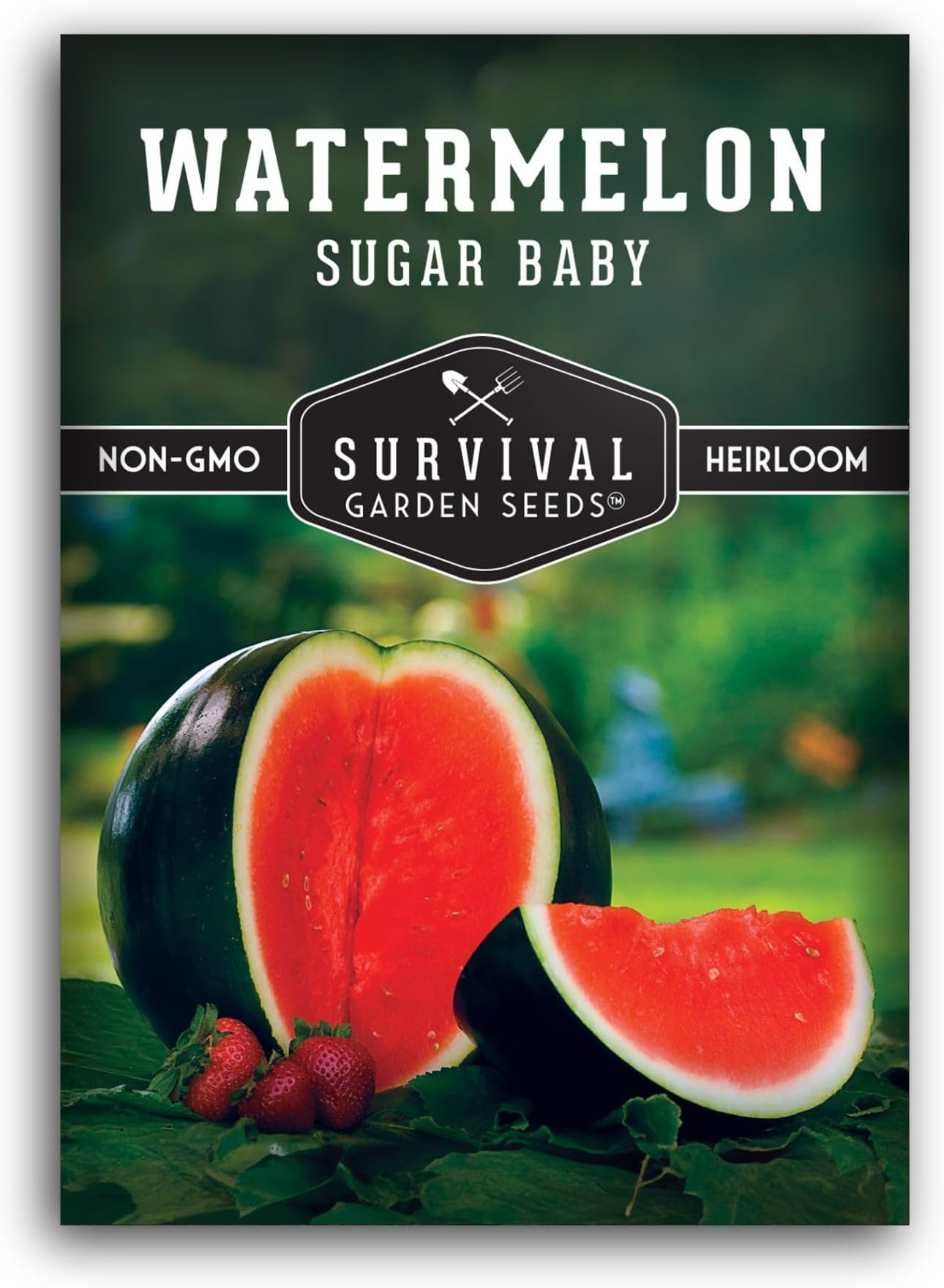 Amazon.com : FUN AND GROW SEEDS: Seeds Watermelon Black Beauty Non GMO ...