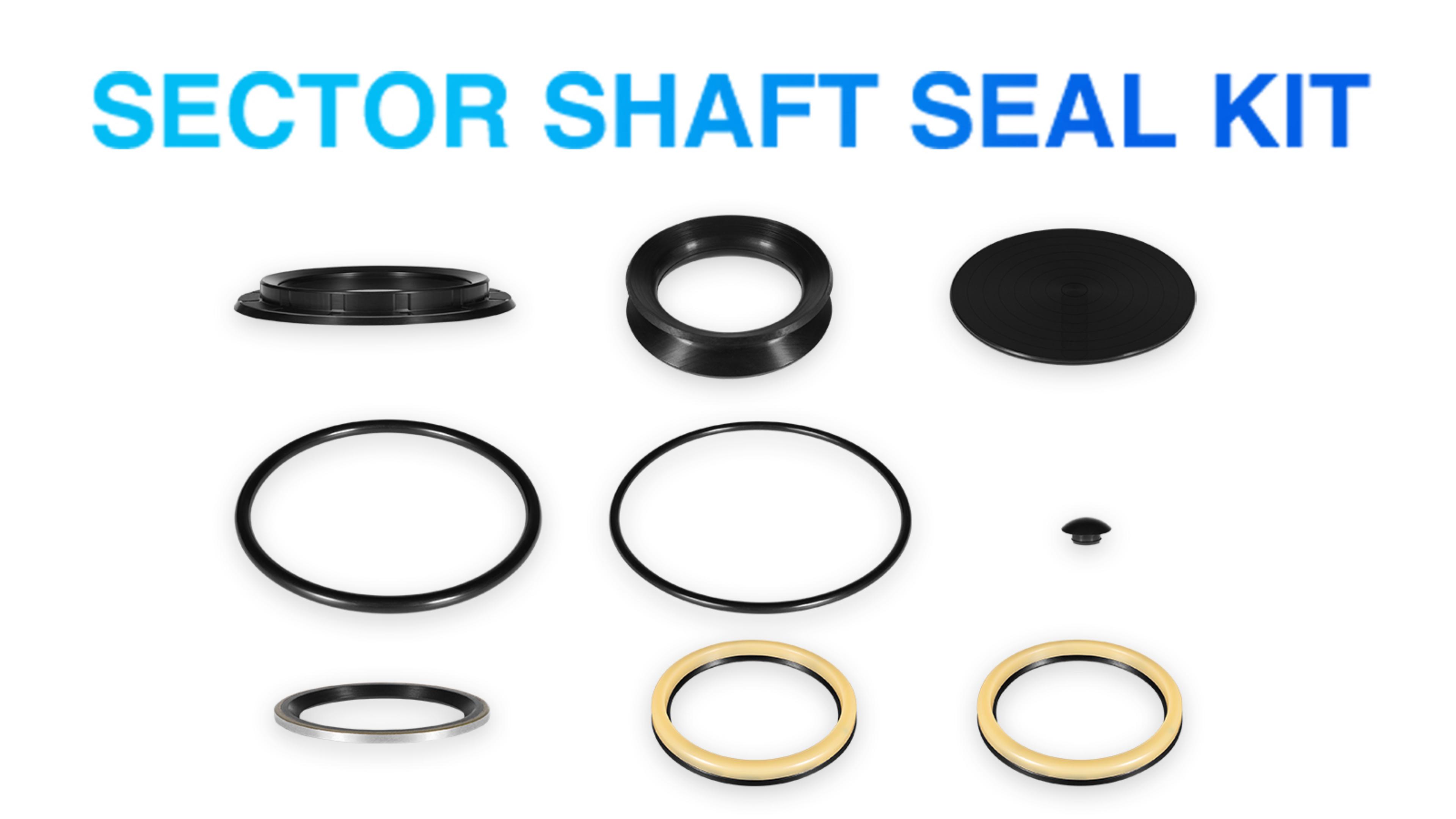 Watch 5545741 5544881 Sector Shaft Seal Kit on Amazon Live