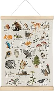 Amazon.com: Qvapt Woodland Alphabet Poster,Woodland Classroom Decor ...