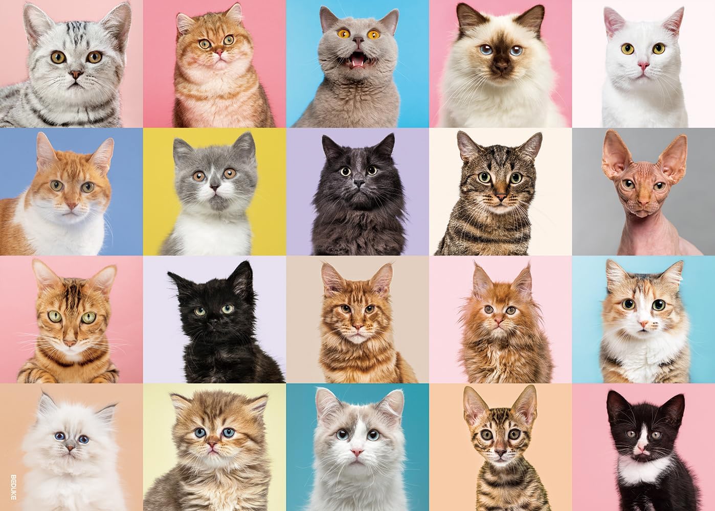 Amazon.com: BEDUKE Jigsaw Puzzles for Adults 1000 Pieces Precise ...