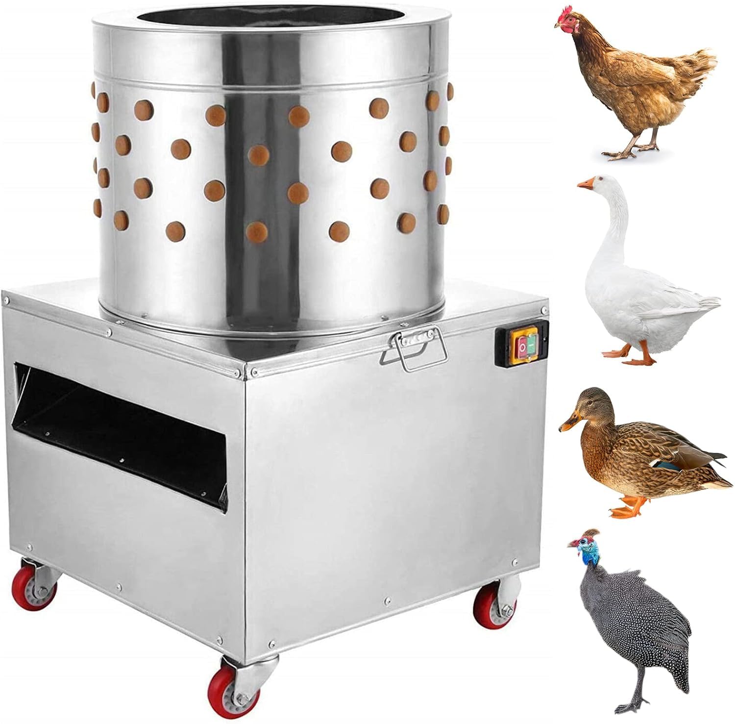 Amazon.com : Panghuhu88 20Inch Chicken Plucker,Turkey De-Feather ...