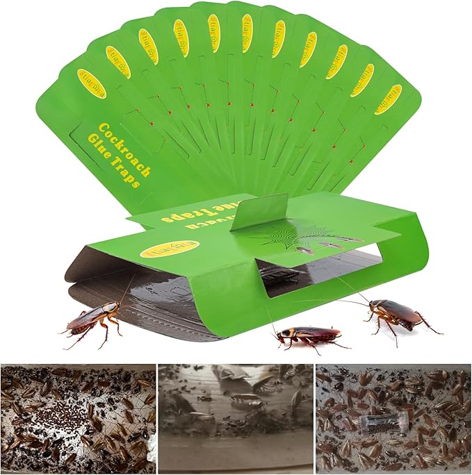 Amazon.com : 18 Pack Roach Traps Indoor Roach Killer Indoor Infestation ...