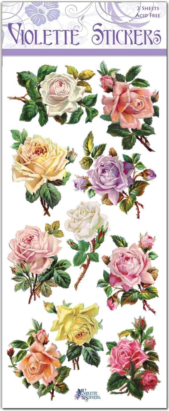 Amazon.com: Clear Paper Stickers Violette Stickers Rose Strips
