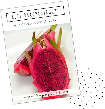 Rote Drachenfrucht Samen (Hylocereus costaricensis) - Seltenes Pitaya ...